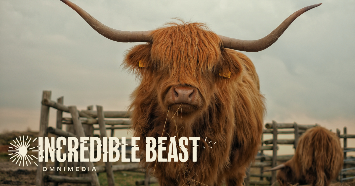 Incredible Beast: Regenerative Farming and a Brighter Tomorrow